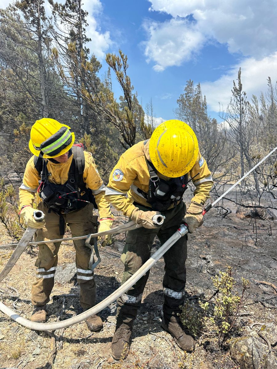 Bomberos de Córdoba siguen combatiendo incendios en El Maitén, uno de ...