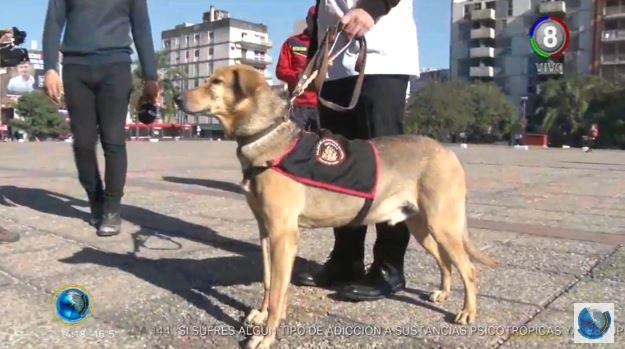 Tras nueve años de servicio, se jubiló "Huesos", integrante de la ...